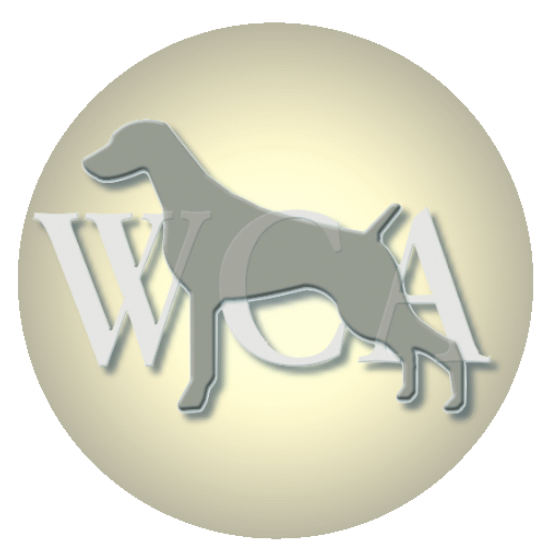 PerfDog home page